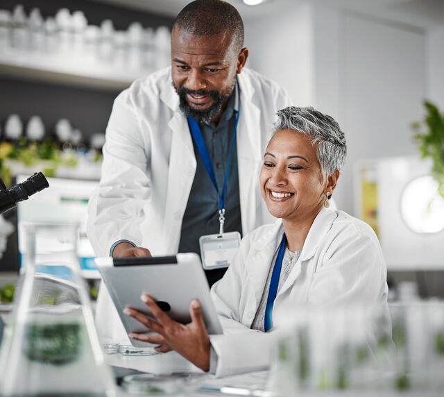 Cutting-Edge Technology Solutions - Levata