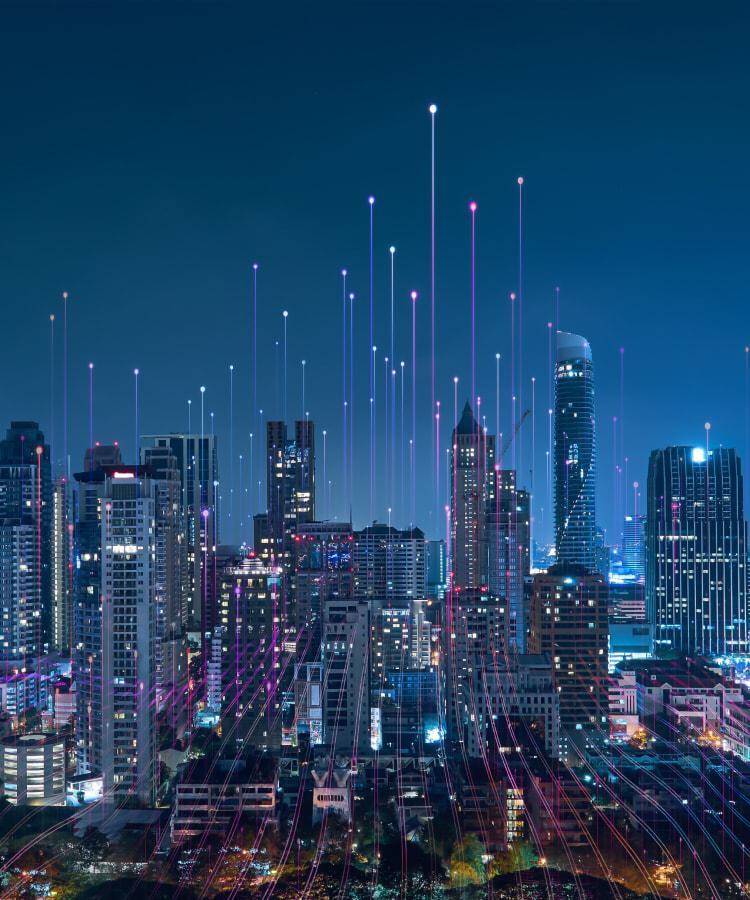 Levata - Global IT Services and Technology Products Distributor