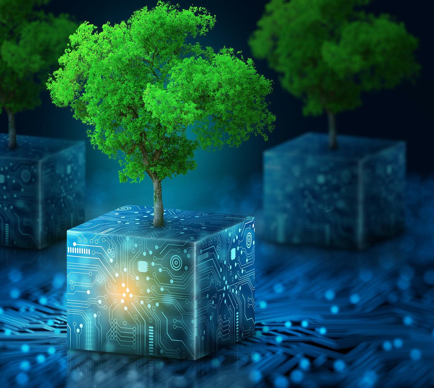 About Levata Solutions